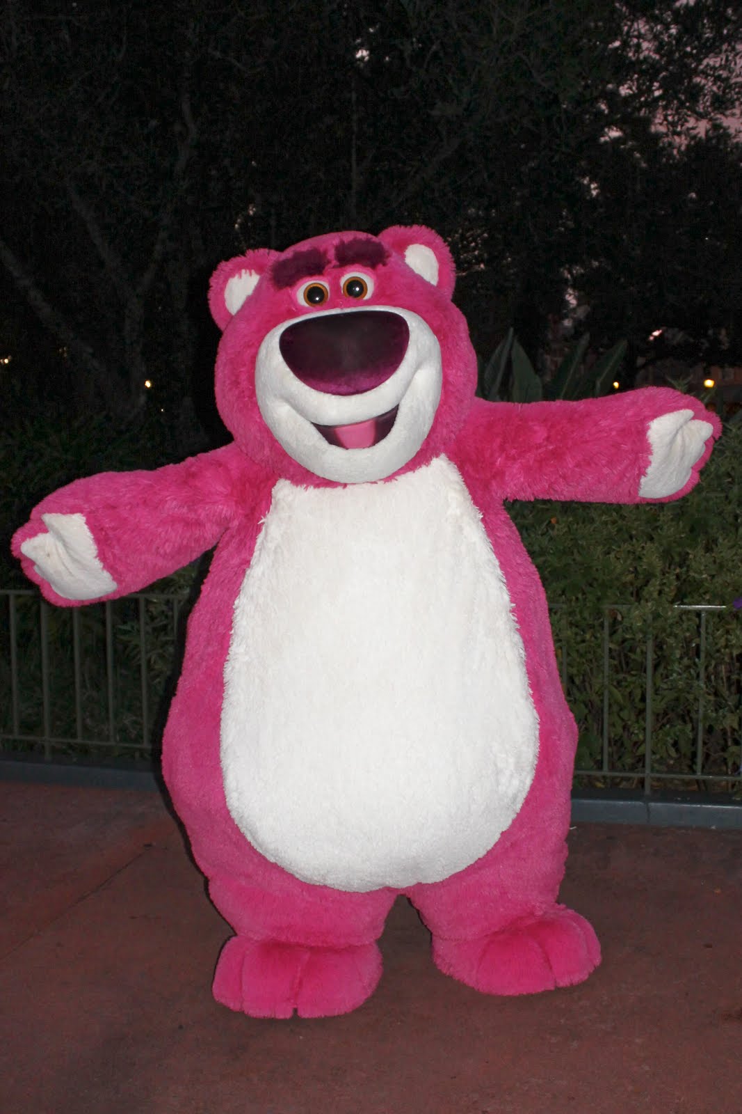 Unofficial Disney Character Hunting Guide: MNSSHP 2011-Character Locations