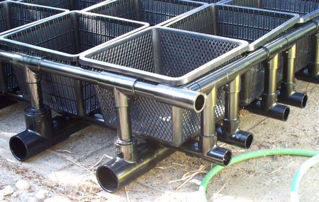 Anoxic Filtration System: Brian Woodcock's Anoxic Filtration build ...