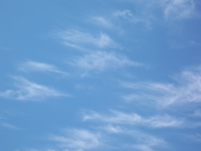 Venus as a Boy: El Jardín de las Esculturas