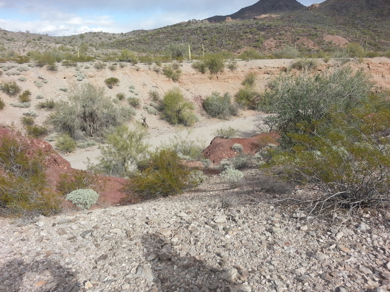 Sarah & Kevin's Excellent Adventure: Agua Caliente Scenic Drive