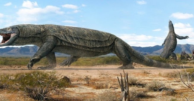 19+ Evolusi Hewan Purba Ke Modern, Koleksi Terpopuler!