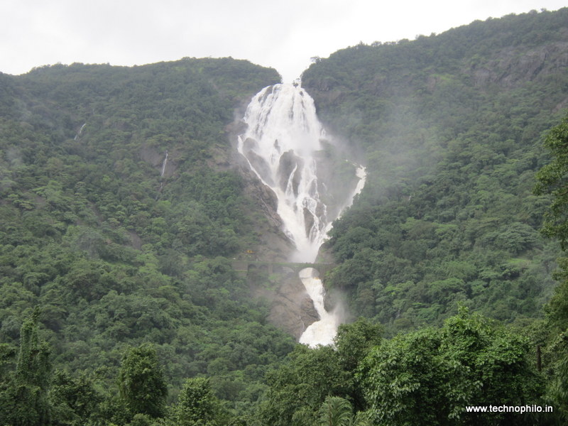 Dudhsagar Waterfalls and Trekking