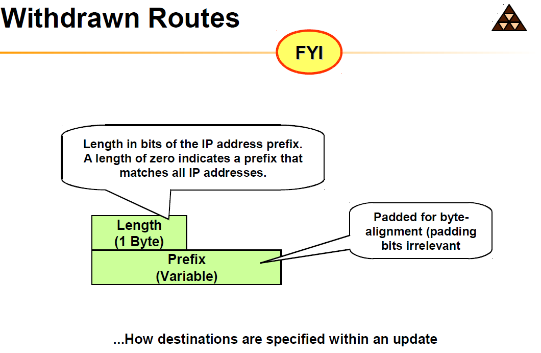 Networking And Scripting : Packet Formats to Remember