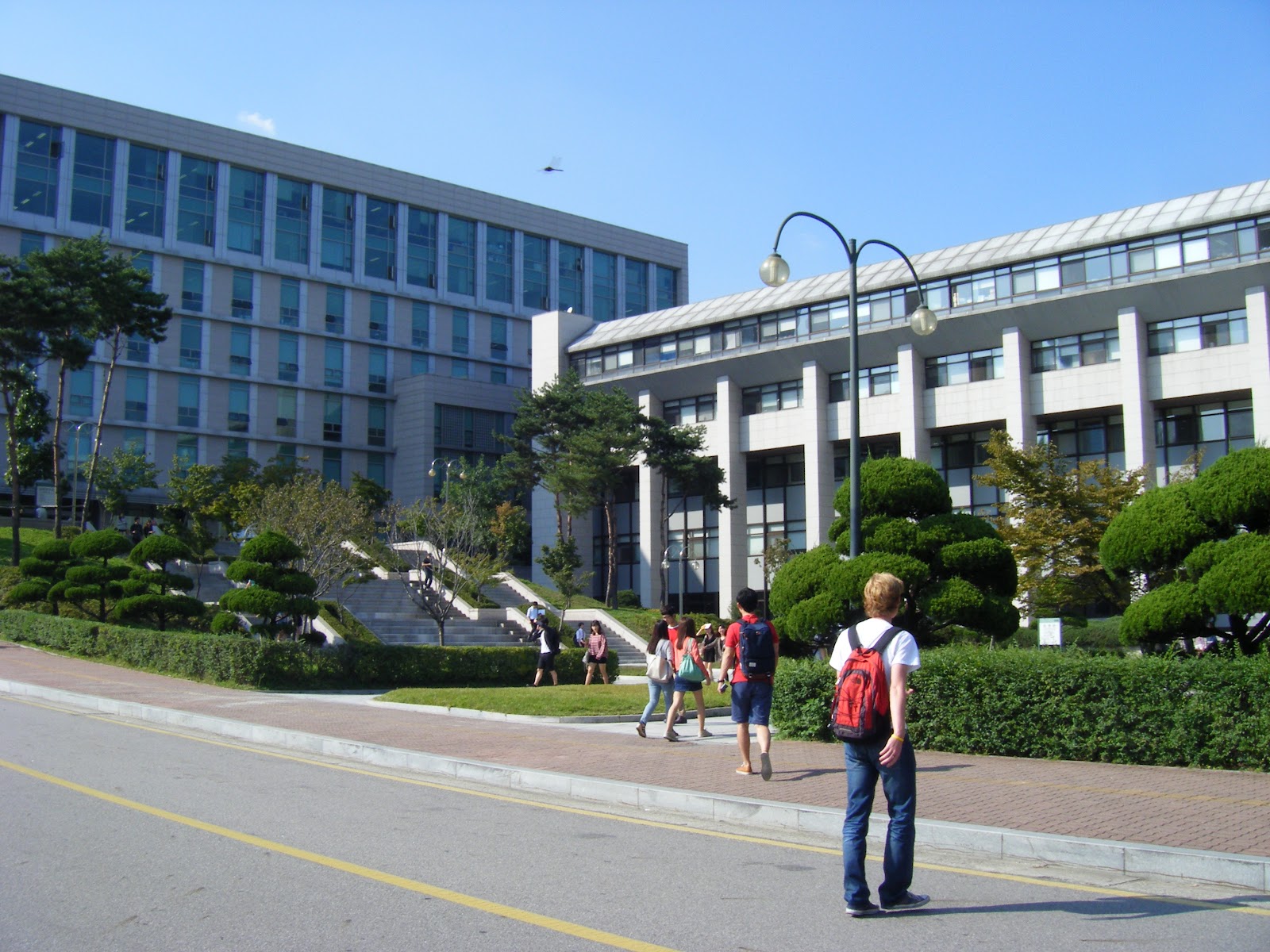 Paloma en Corea: Konkuk University