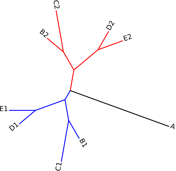 PhyloBotanist: How to root a phylogenetic tree: outgroup, midpoint and ...