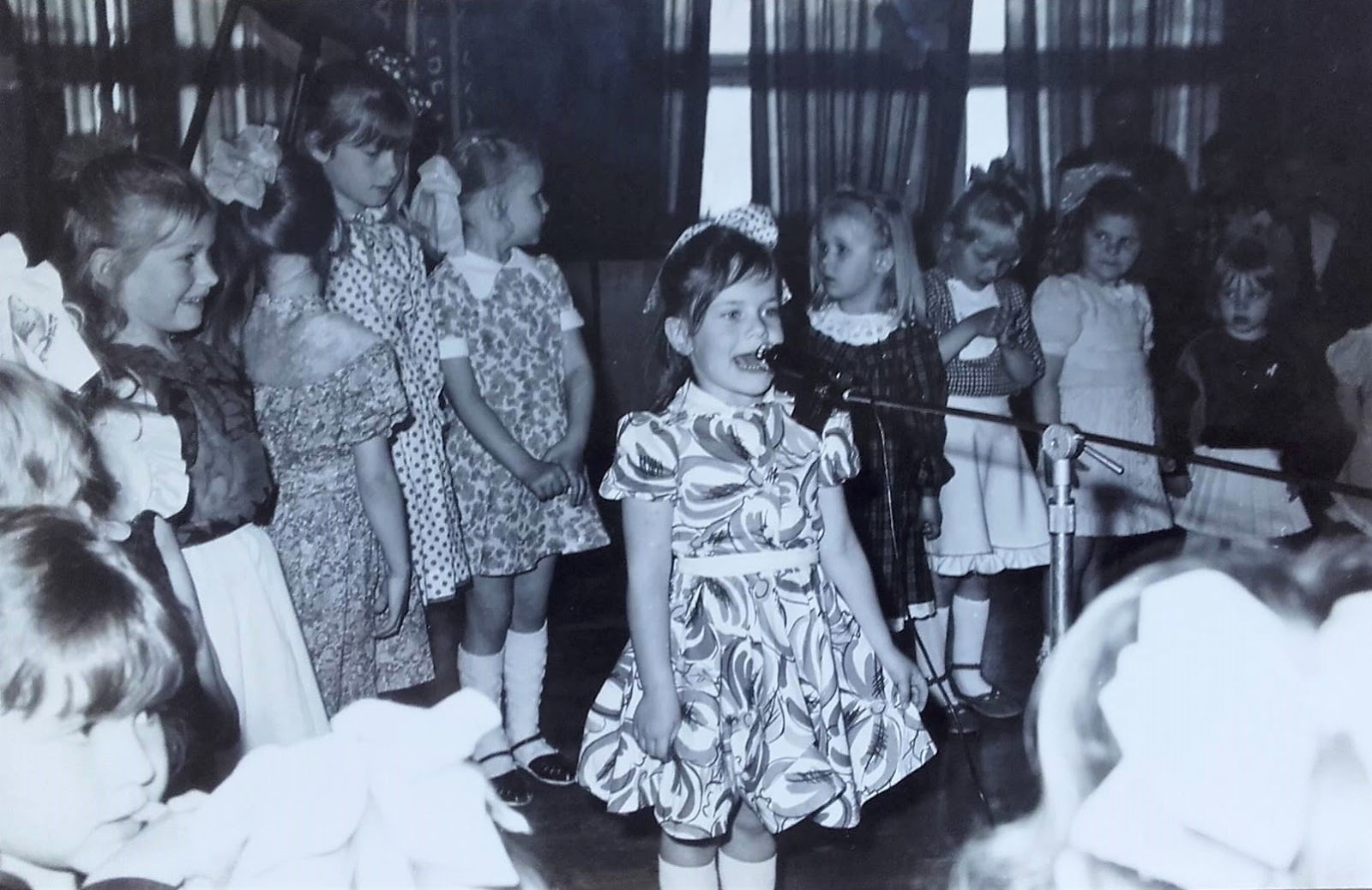 Maailma parim koht: laululinnupojakesed