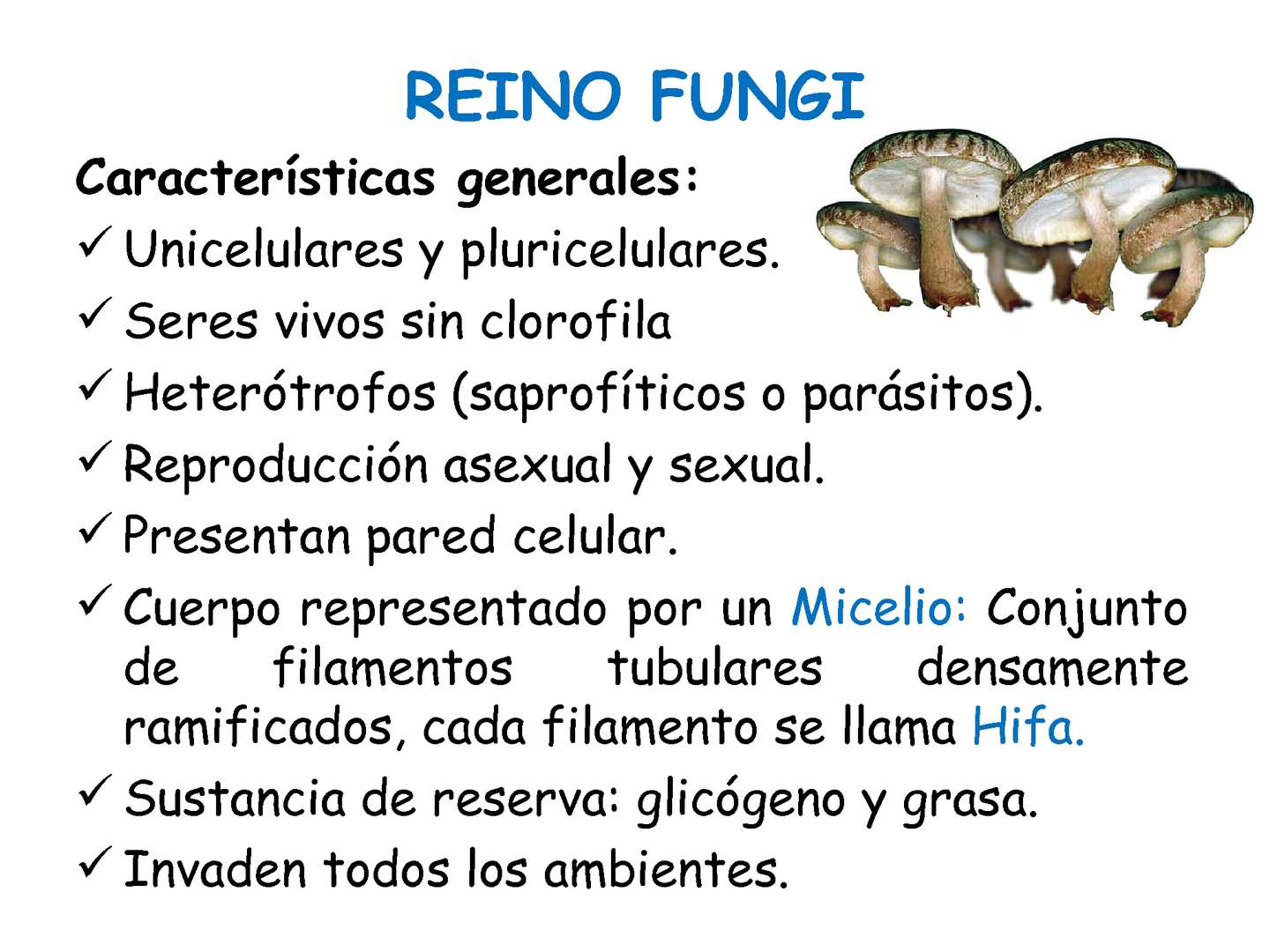Ciencia al Dia: REINO FUNGI (Hongos)