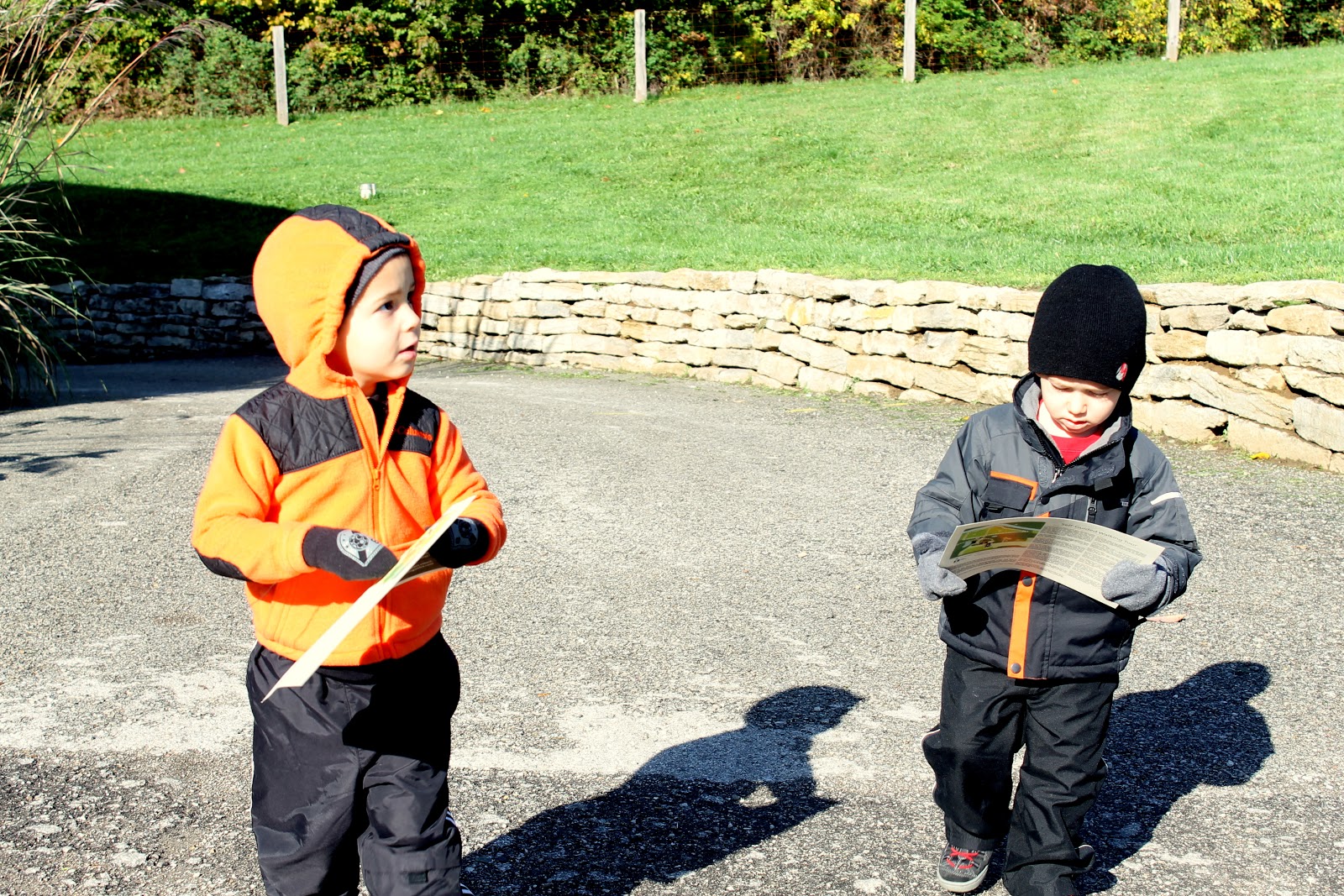 Arrows Sent Forth: Planning a Visit to Trader's Point Creamery