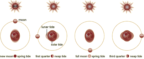 Simply Science: King Tide: The Mightiest of All Tides