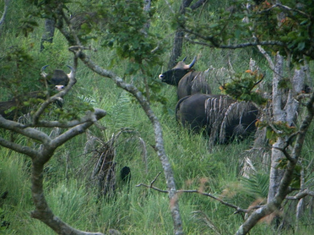 Tamilnadu Tourism: Muthaliar Oothu, Shenbagathoppu, Srivilliputhur ...