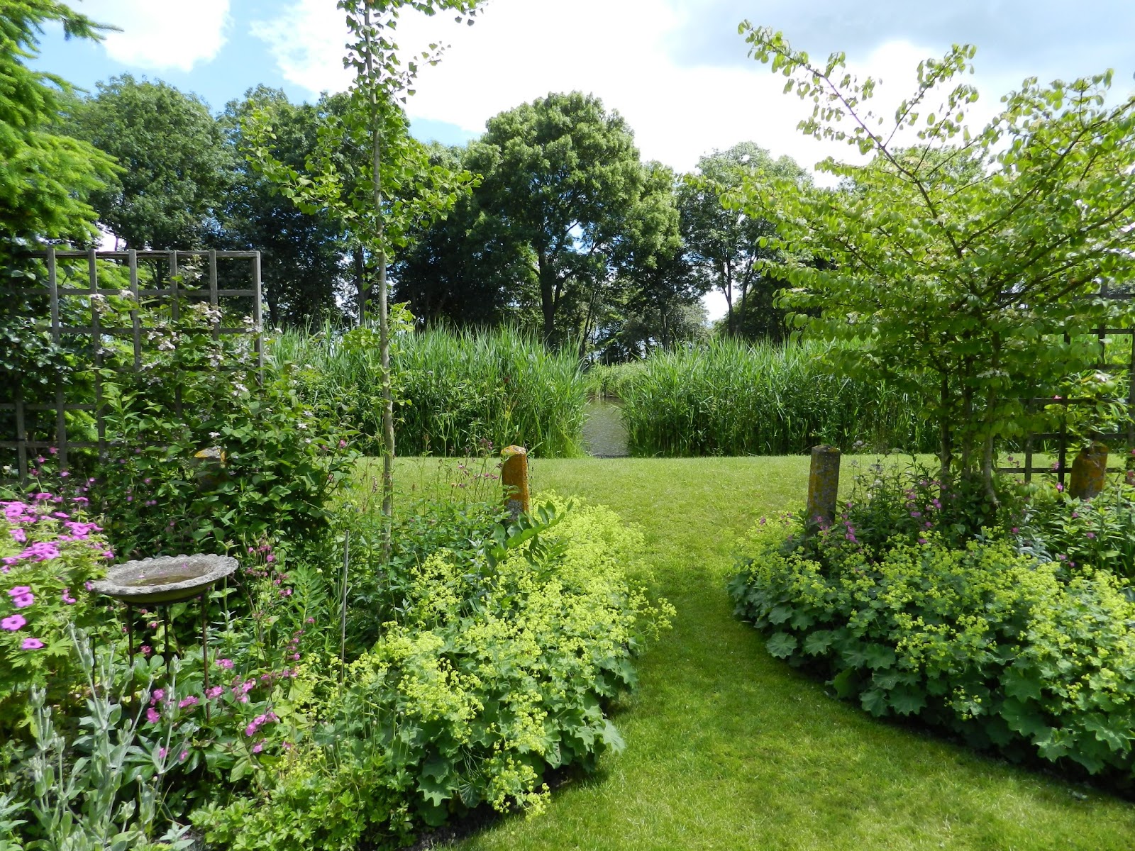 Gazon in natuurlijke tuin. | TuinTuin