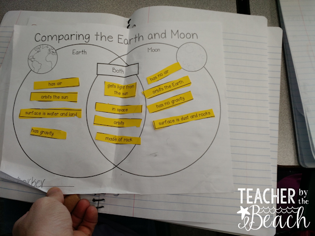 Learning About Space - Teacher by the Beach