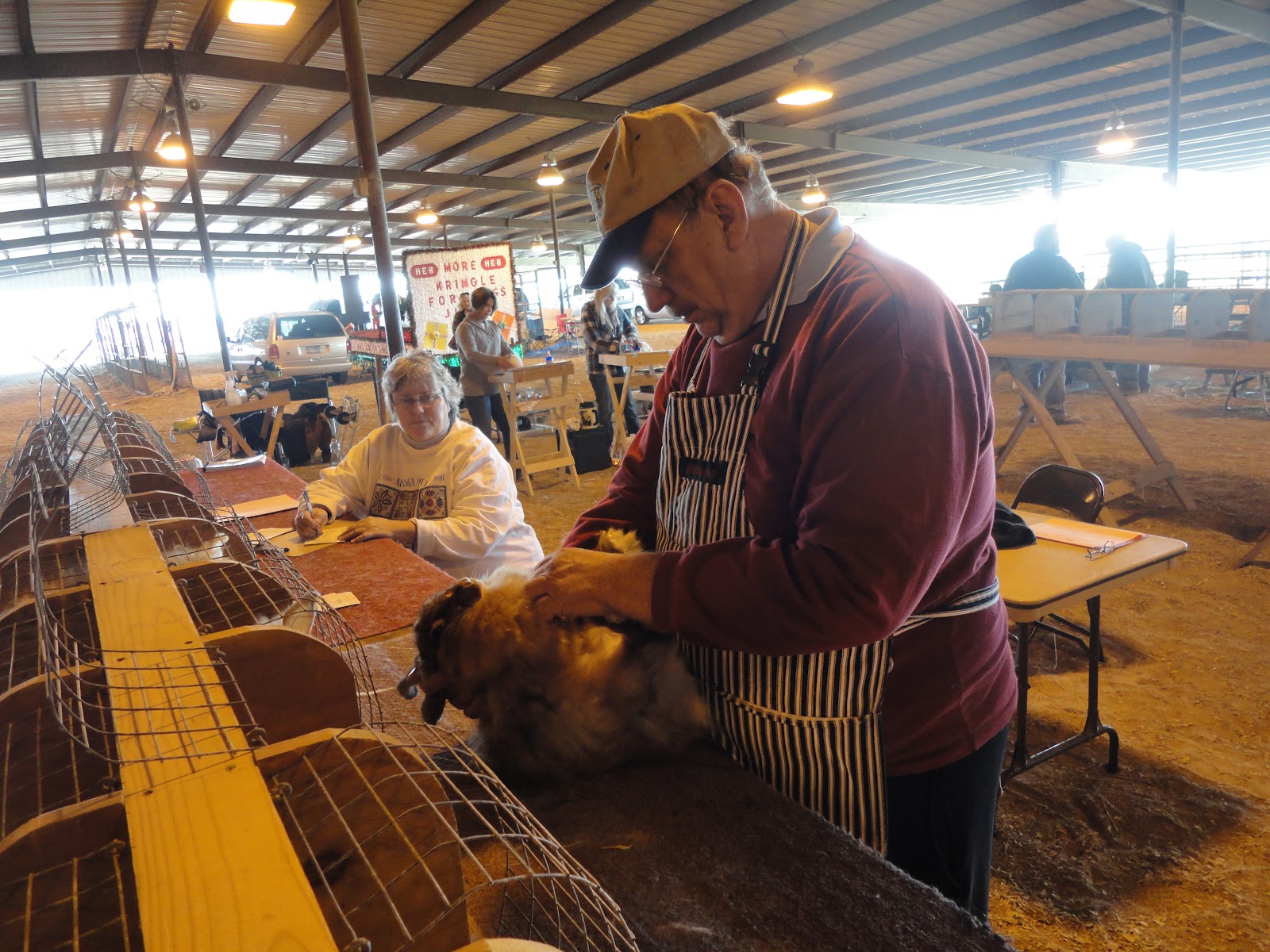 TEXAS ANGORA BLOG: Victoria Livestock Show