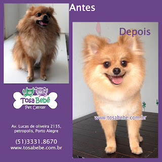 TOSA BEBÊ - TOSA VERÃO - TOSA TESOURA -TOSA PORTO ALEGRE: TOSA TESOURA ...