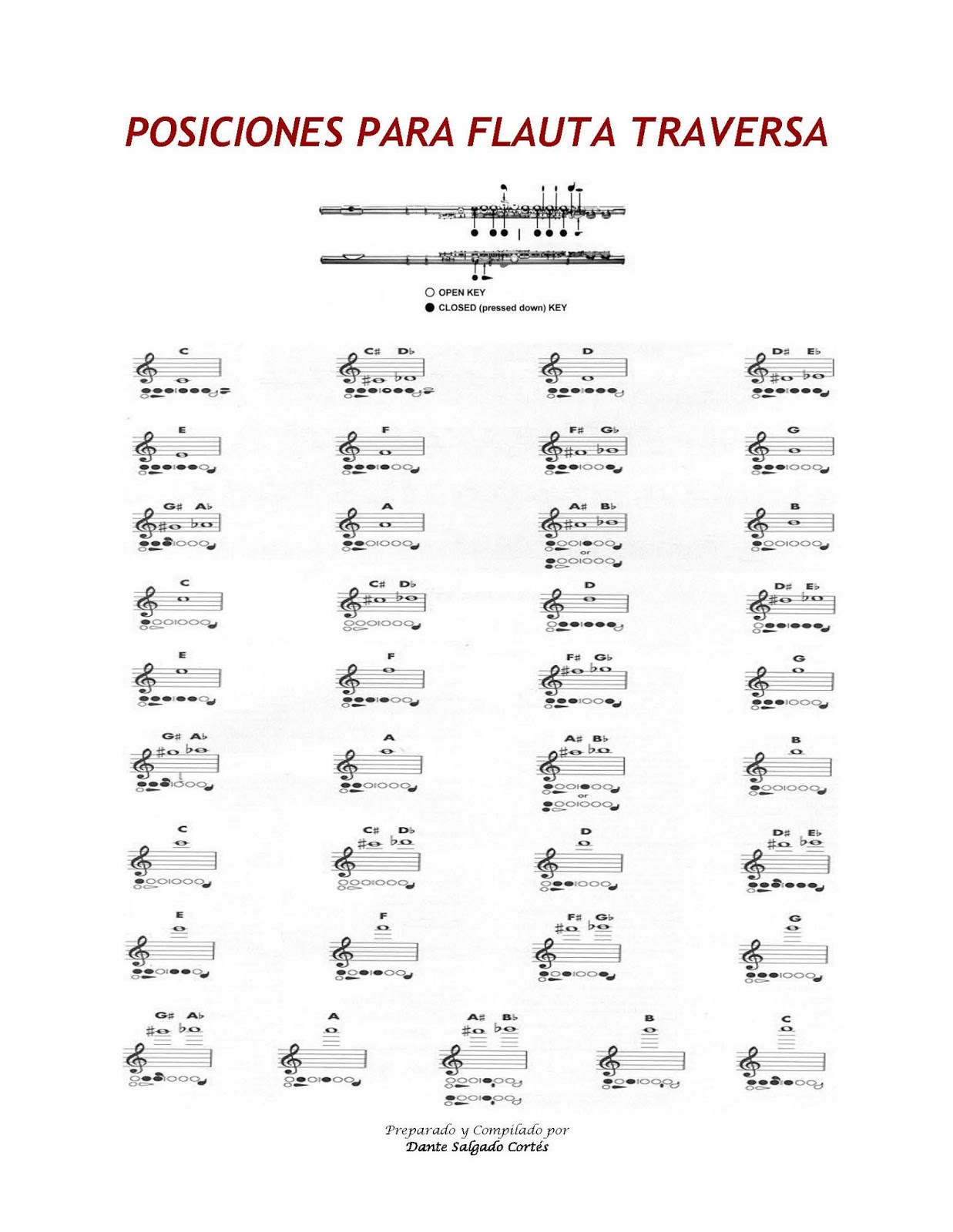 Dante Salgado Cortés: ACORDES, POSTURAS Y OTRAS POSICIONES