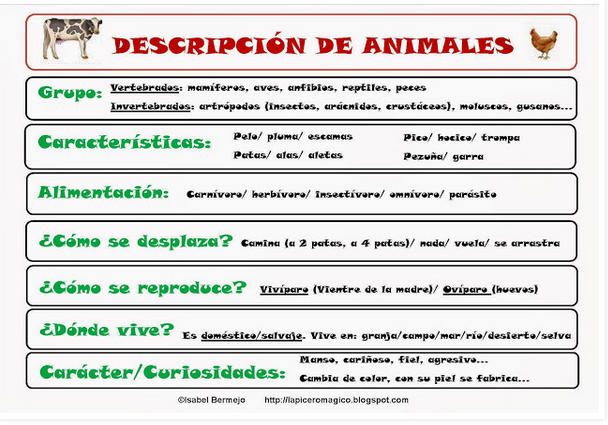 MI CLASE EN LA LUNA: DESCRIPCIONES DE PERSONAS, ANIMALES, OBJETOS Y ...