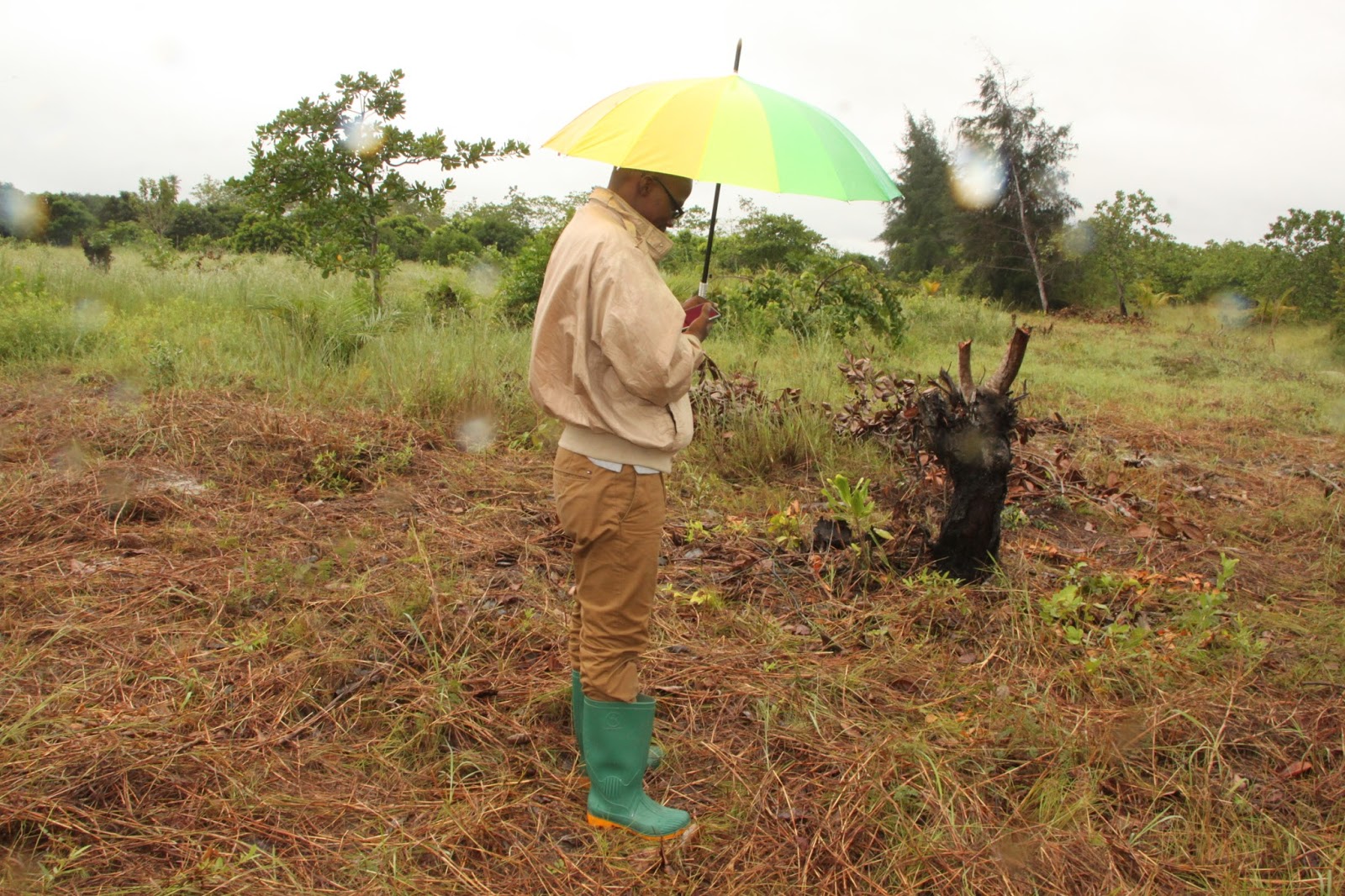 VIWANJA VINAUZWA BEI POA VIPO KISEMVULE MKURANGA MKOANI PWANI