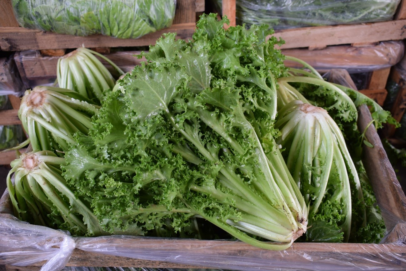 Conheça as verduras sazonais de fevereiro