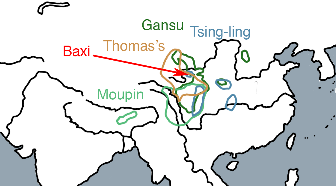 Zoology Jottings: In a forest near Baxi in Sichuan: What Pika was this?