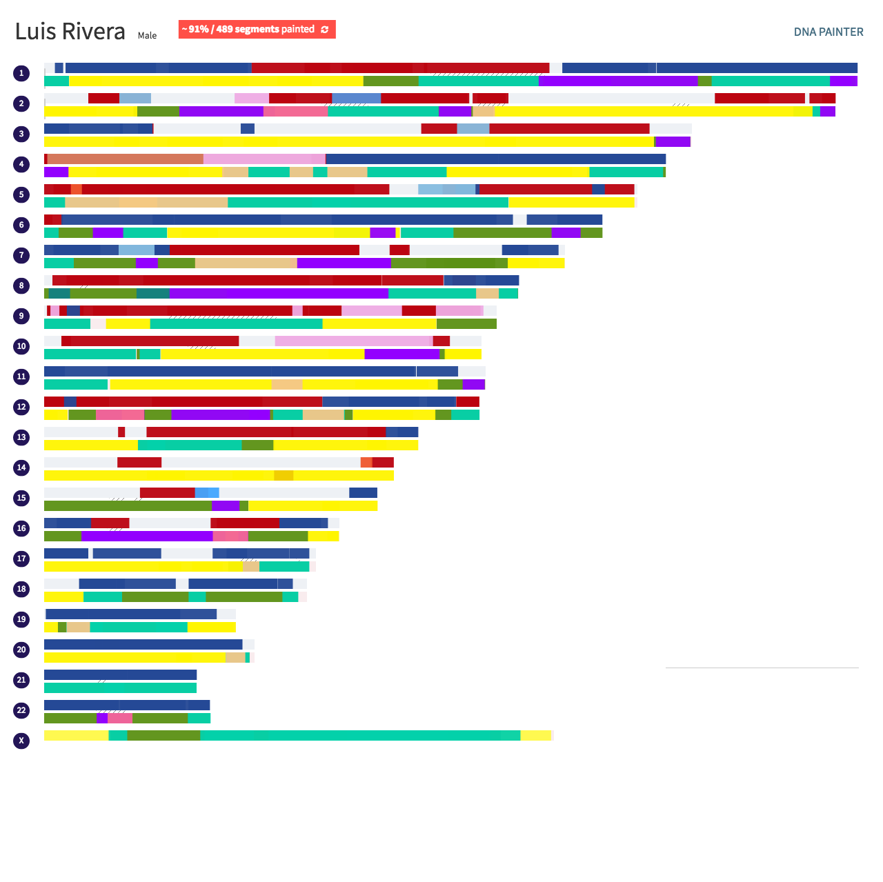 [Genealogy Under Construction]: A Puerto Rican Look at: DNA Painter