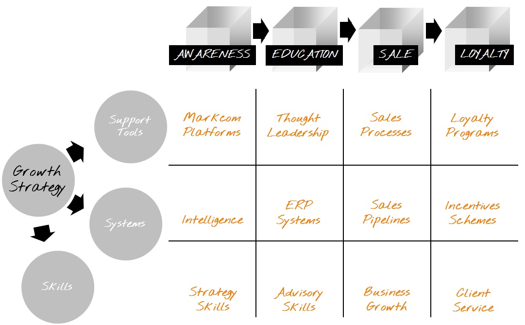 THE MODERN BUSINESS GROWTH ORGANIZATION: IS YOUR BUSINESS GROWTH ...