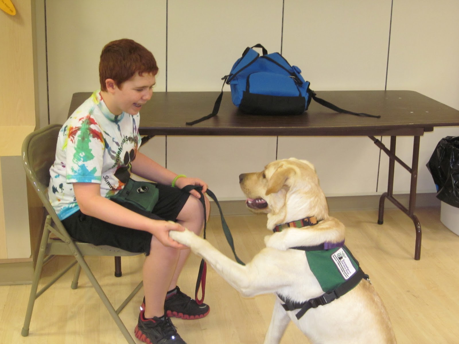 Susquehanna Service Dogs: Summer Camp: Training Service Dogs