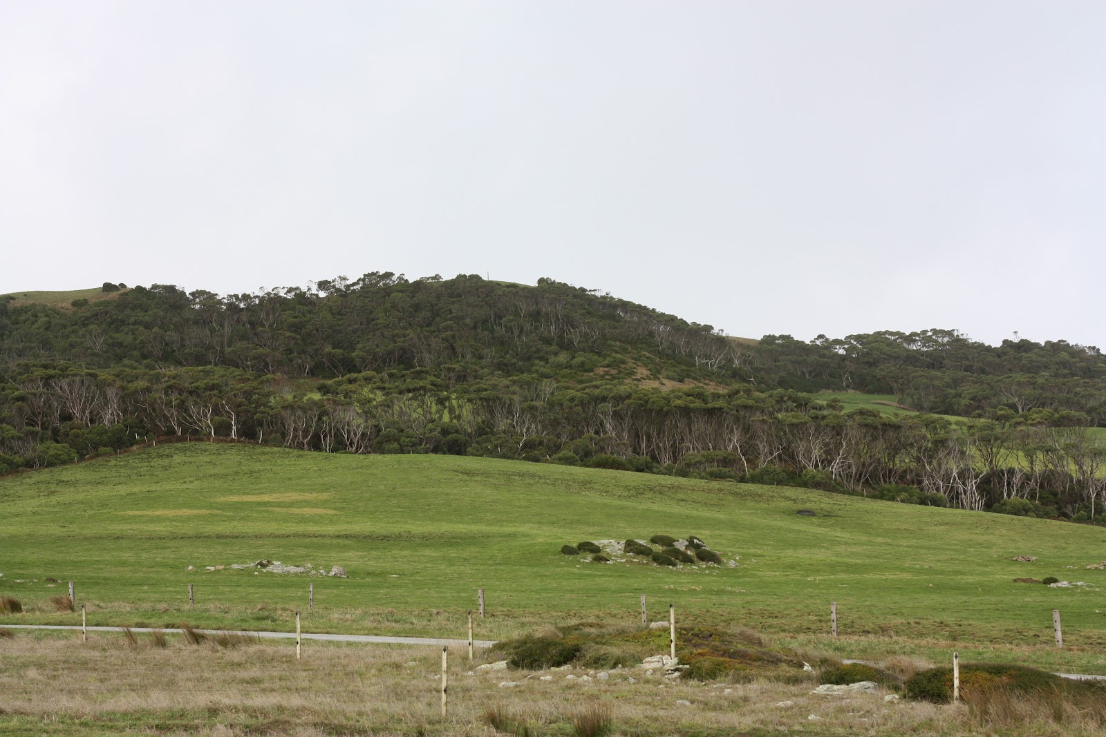 Little Glowing Lights: Long Weekend - Marrawah