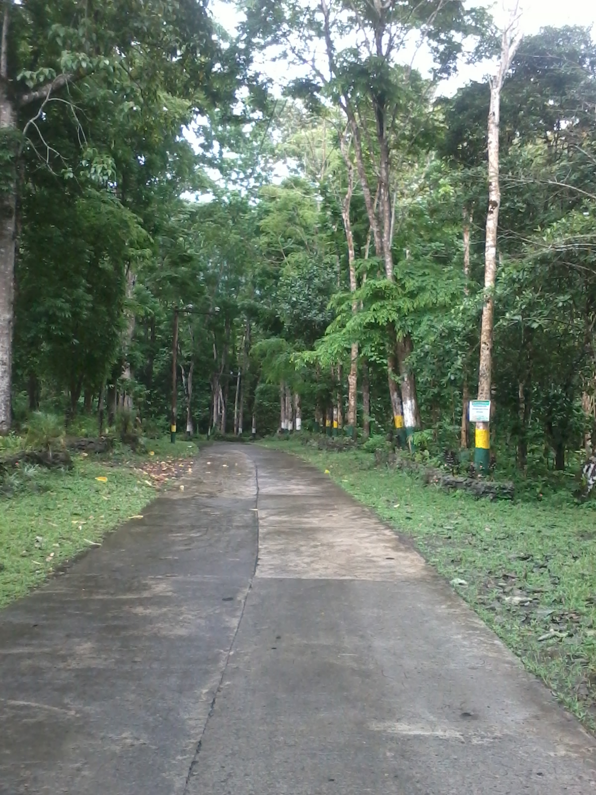 My Pic of the Day: Bundok (Part 2)