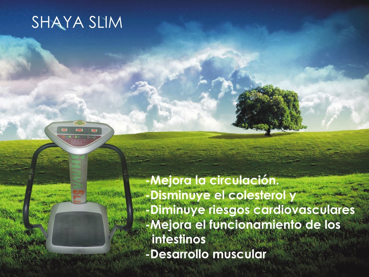 Shaya Michan Productos, Terapias, Medicina Alternativa, Naturismo y ...
