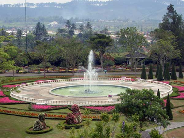 Puncak Icon: Taman Bunga Nusantara