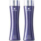 VIOLETA S.A: VIOLETA