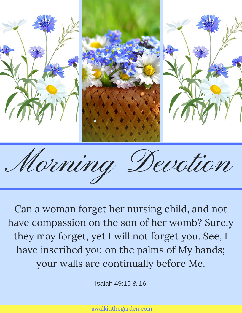A Walk In The Garden: Morning Devotion: God's Love and Compassion