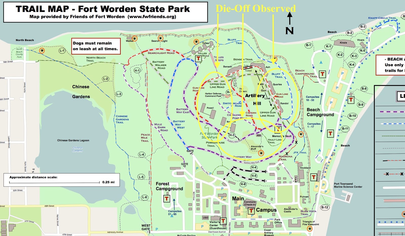 Seward Park Sword Fern Die-off: Extensive Die-Off at Fort Worden State Park