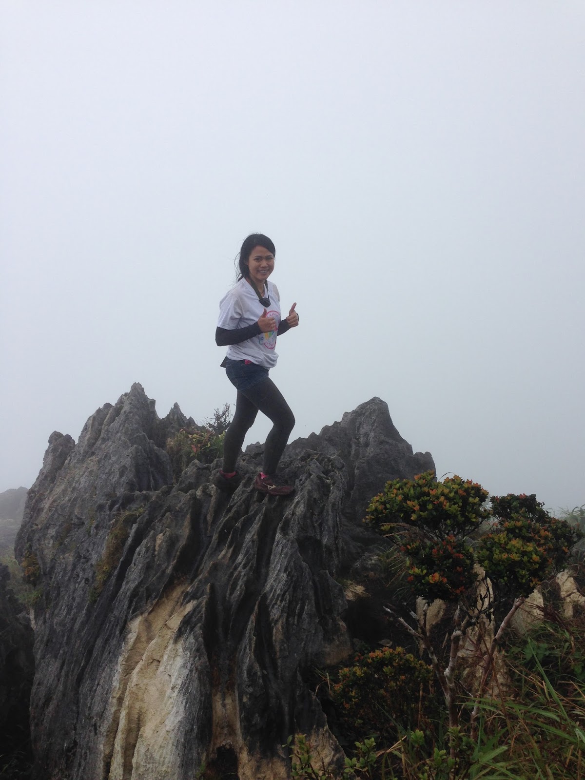 An Unforgettable Day Hike: Mt Irid, Rizal's Highest Mountain - From The ...