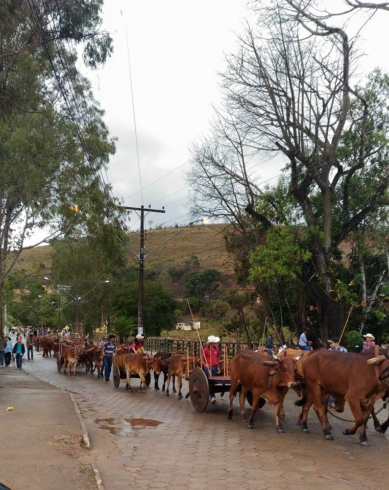 VIAGEM, TURISMO E AVENTURAS POR LUGARES INCRÍVEIS : VIRGÍNIA / MINAS ...
