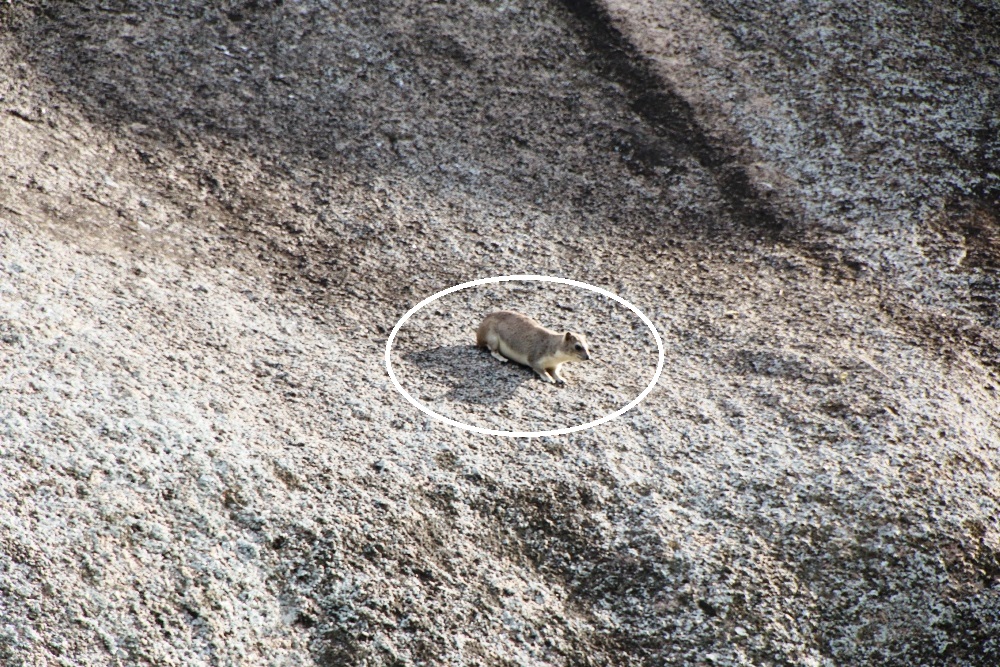 OUR PROUDLY TANZANIA: LIFAHAMU KWA KINA JIWE HILI KUBWA MWANZA ...