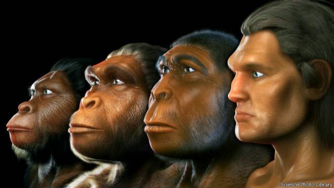 15 cambios que nos hicieron humanos - Sitio 48