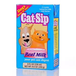 Saving Money With CJ: A Free Sample of Cat-Sip-First Carton Absolutely ...
