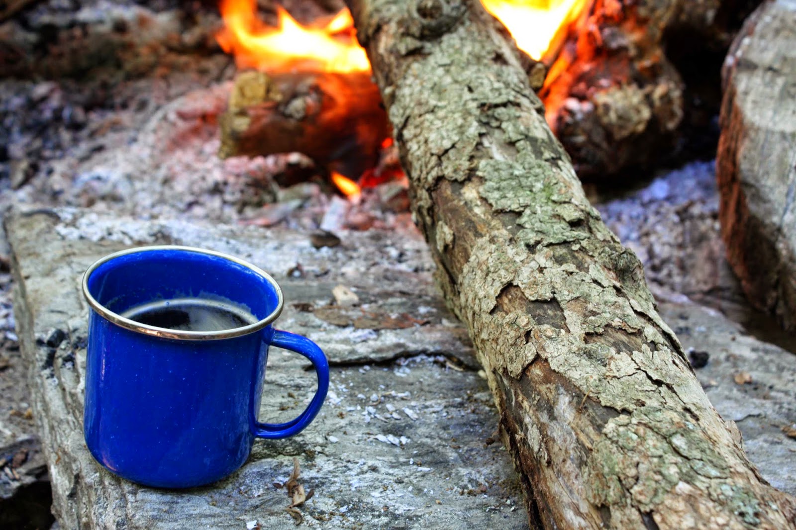 Visibly Moved: Camping at Pachaug State Forest