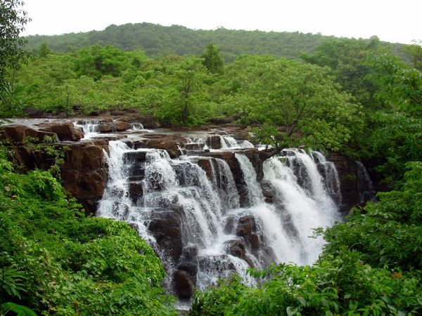 Savdav Waterfall - konkan-Ek Swapnanagari