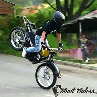 stunt: stunt life