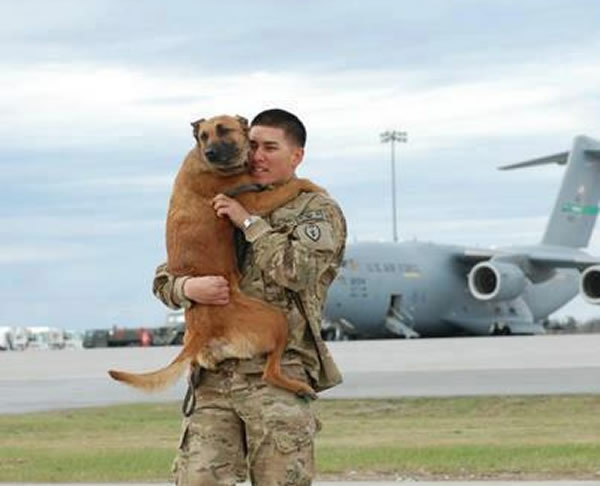 Su leal perro lo recibe a su regreso de la guerra en Irak : El Sabelotodo