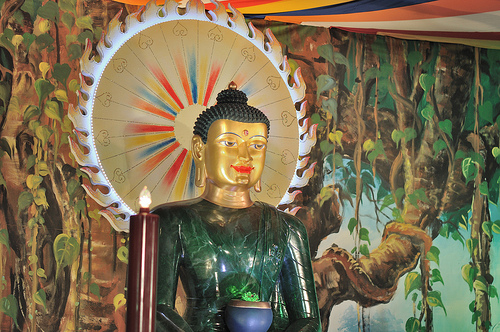 What is Buddha Dhamma ? - Wat Bodhikaram