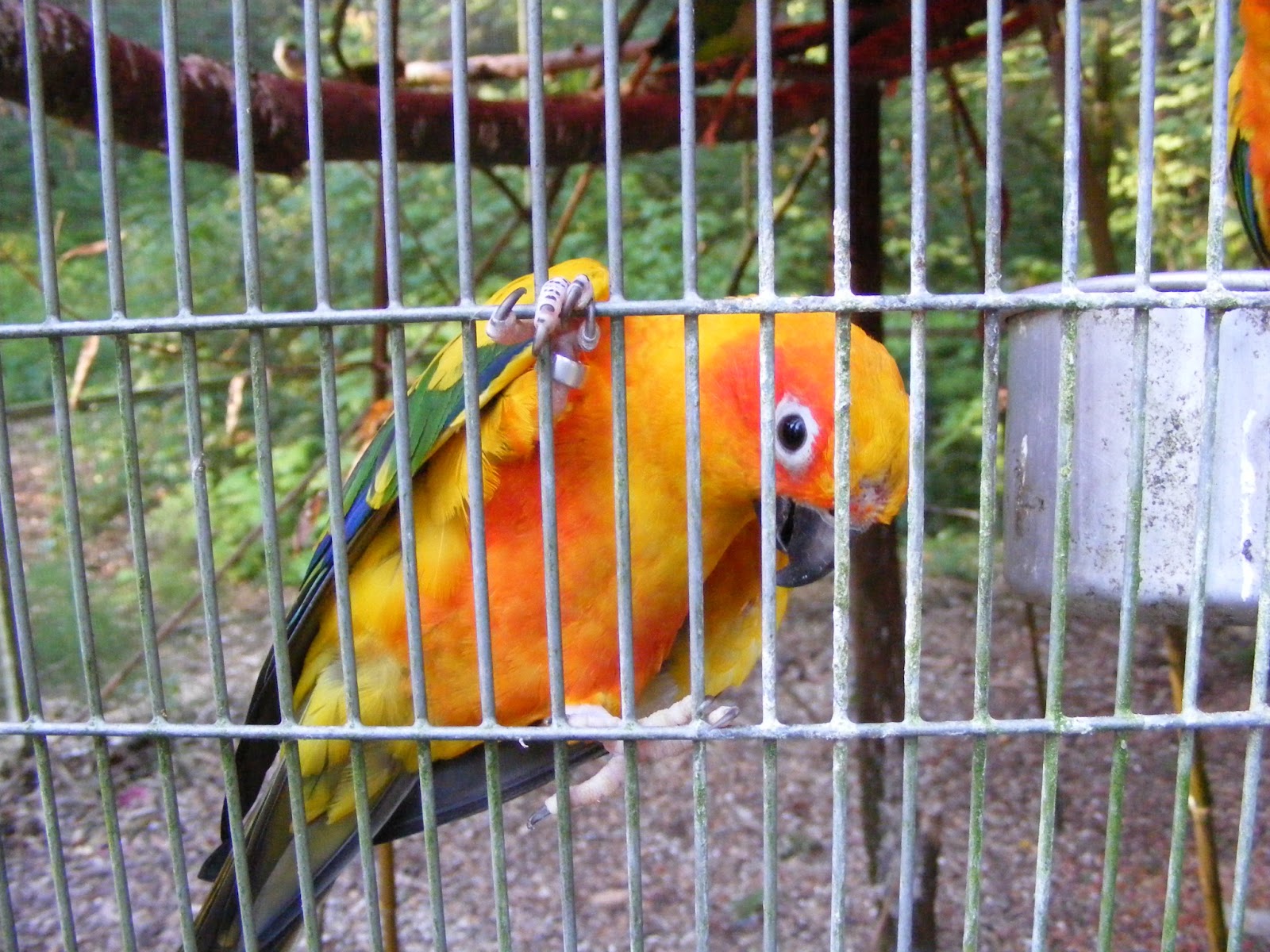 Life From Scratch: Saturday at the Sanctuary