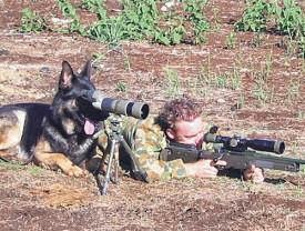 Top 12 Funny Cats and Dogs with Guns | Funny Collection World