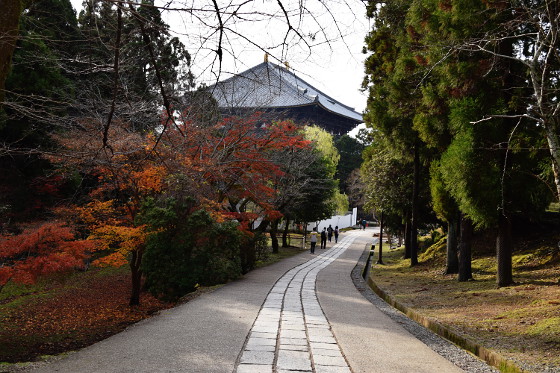 Travel for Life: Nigatsudo Hall (二月堂): A Must-Visit Temple in Nara
