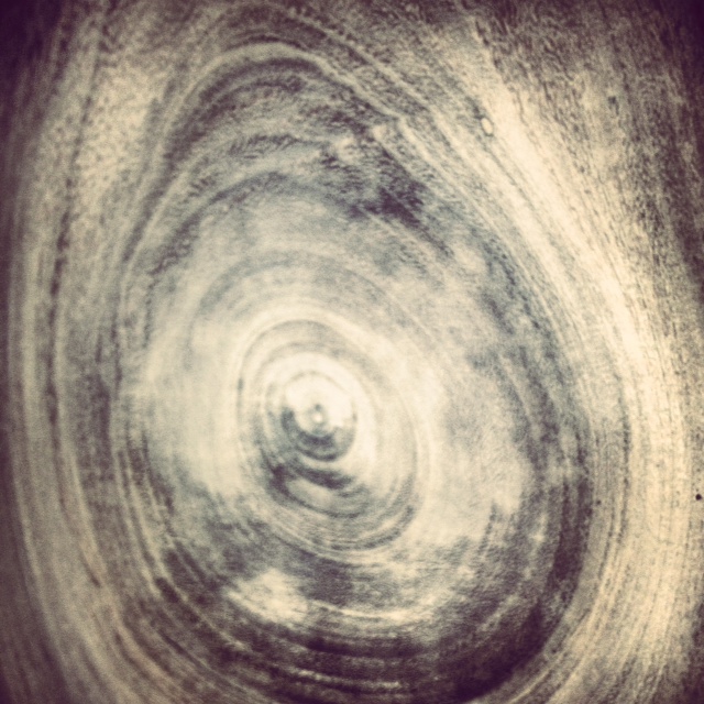 HANNAH COLLINS DESIGN BLOG