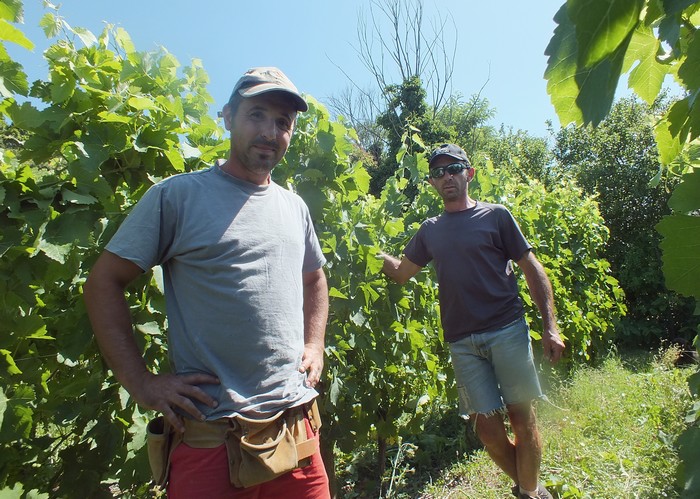 Forez, terre d'accueil (5) : belle matinée à Vin & Pic - A boire et à ...