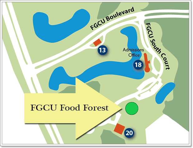 Florida Gulf Coat University: Food Forest : FGCU: Food Forest