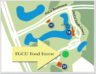 Florida Gulf Coat University: Food Forest : FGCU: Food Forest